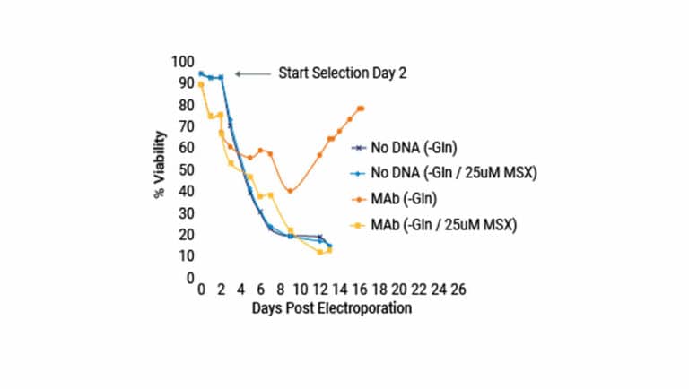 Protein & Antibody Production | MaxCyte