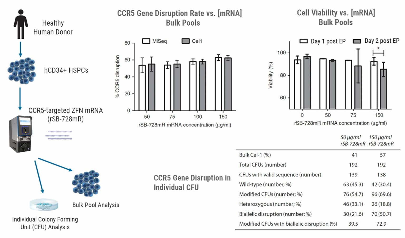 Advancing an HIV Clinical Program for CCR5 Gene Disruption