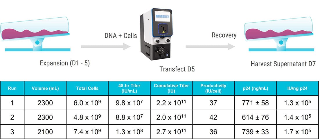 Viral Vector Development | MaxCyte
