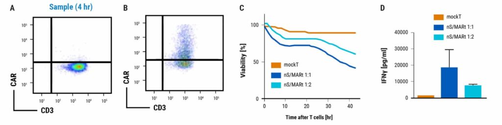 GMP CAR-T Cell Production | MaxCyte