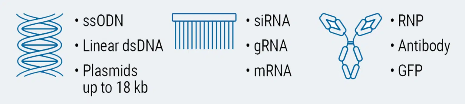 Our Electroporation Technology | MaxCyte