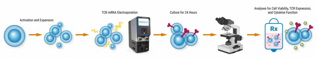 Processing Assembly Consumables | MaxCyte