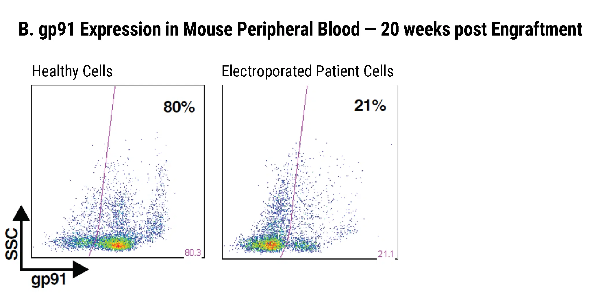 Ex Vivo Gene Correction in X-CGD Patient Stem Cells | MaxCyte Ex Vivo Gene Correction in X-CGD Patient Stem Cells | MaxCyte
