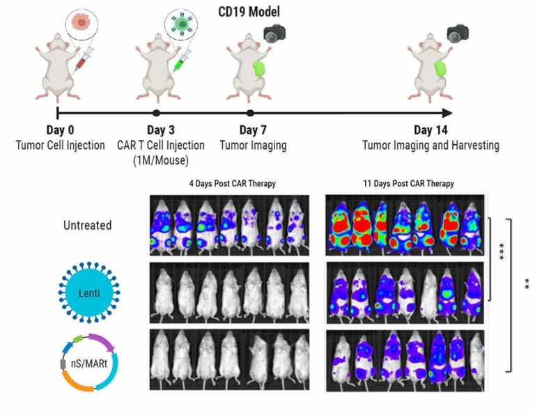GMP CAR-T Cell Production | MaxCyte