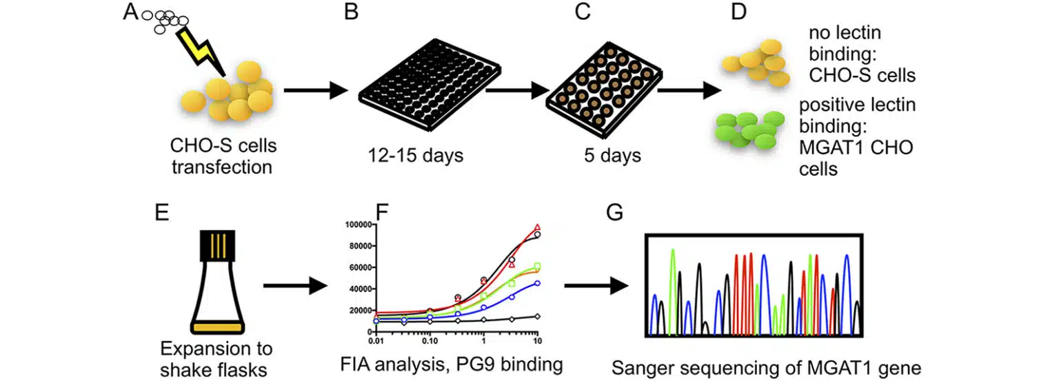 ExPERT STx™ High Efficiency Electroporation System | MaxCyte