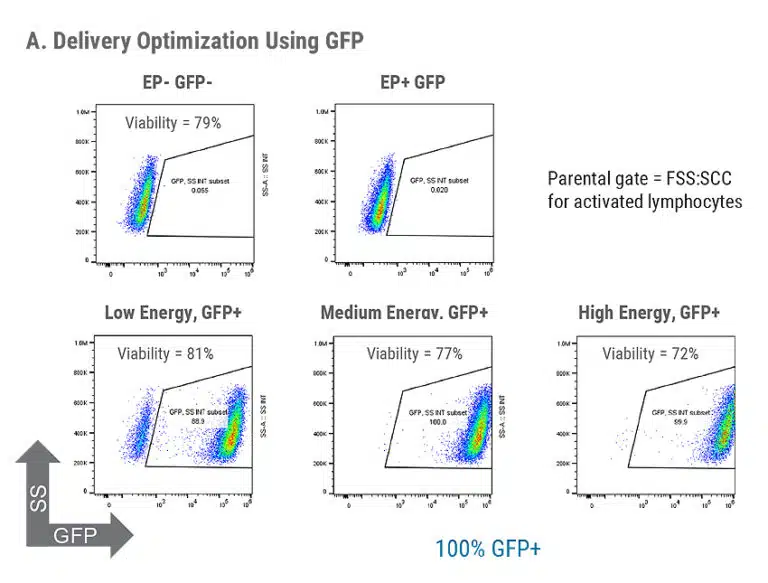 Multiplex CRISPR-mediated Gene Editing Towards the Creation of a ...