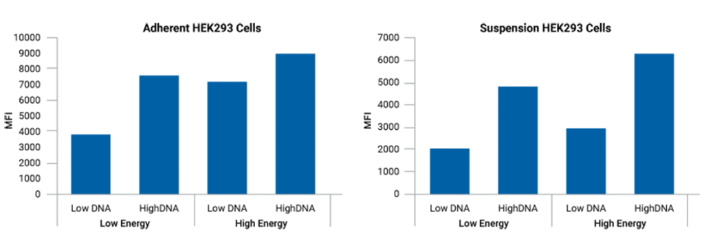 Viral Vector Development | MaxCyte