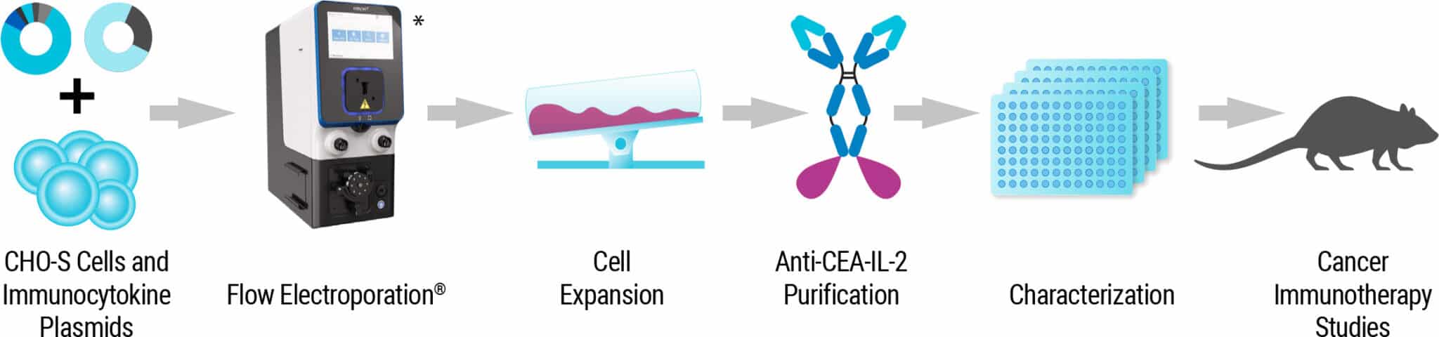 MaxCyte® Flow Electroporation Enables Immunocytokine Development | MaxCyte