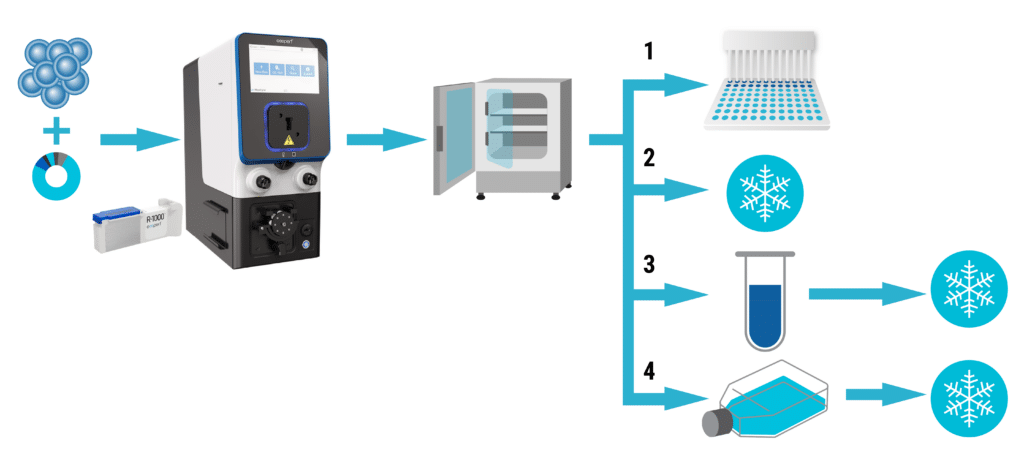 Keys to Successful Cell-Based Assay Development with Scalable ...