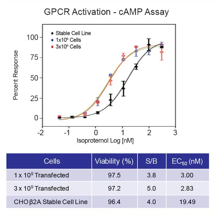Flow Electroporation Capabilities and Case Studies: Rapid GPCR Screening and Functional Ion ...