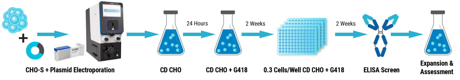MaxCyte for Rapid, High-Yield Cell Line Development