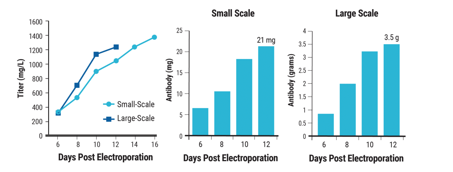 MaxCyte® Flow Electroporation® for Gram-Scale Transient Antibody ...