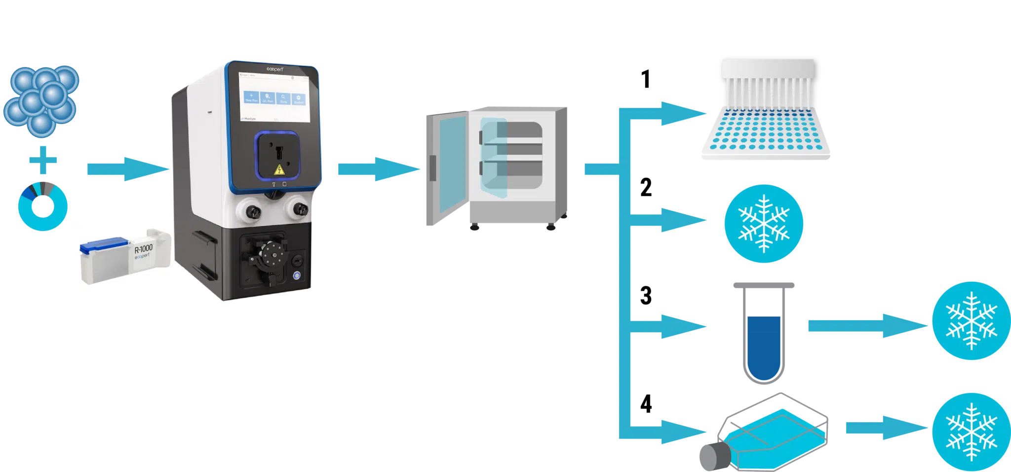 Keys to Successful Cell-Based Assay Development with Scalable ...