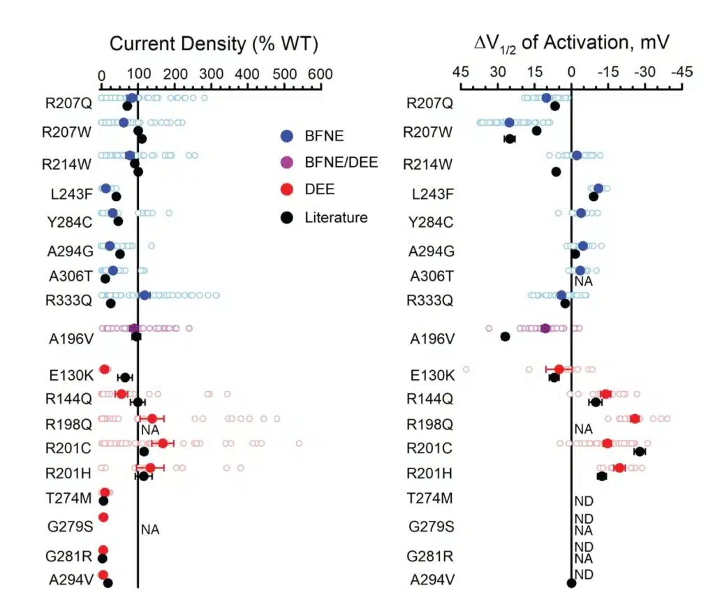 Automated Patch Clamp for Ion Channel Variant Screening