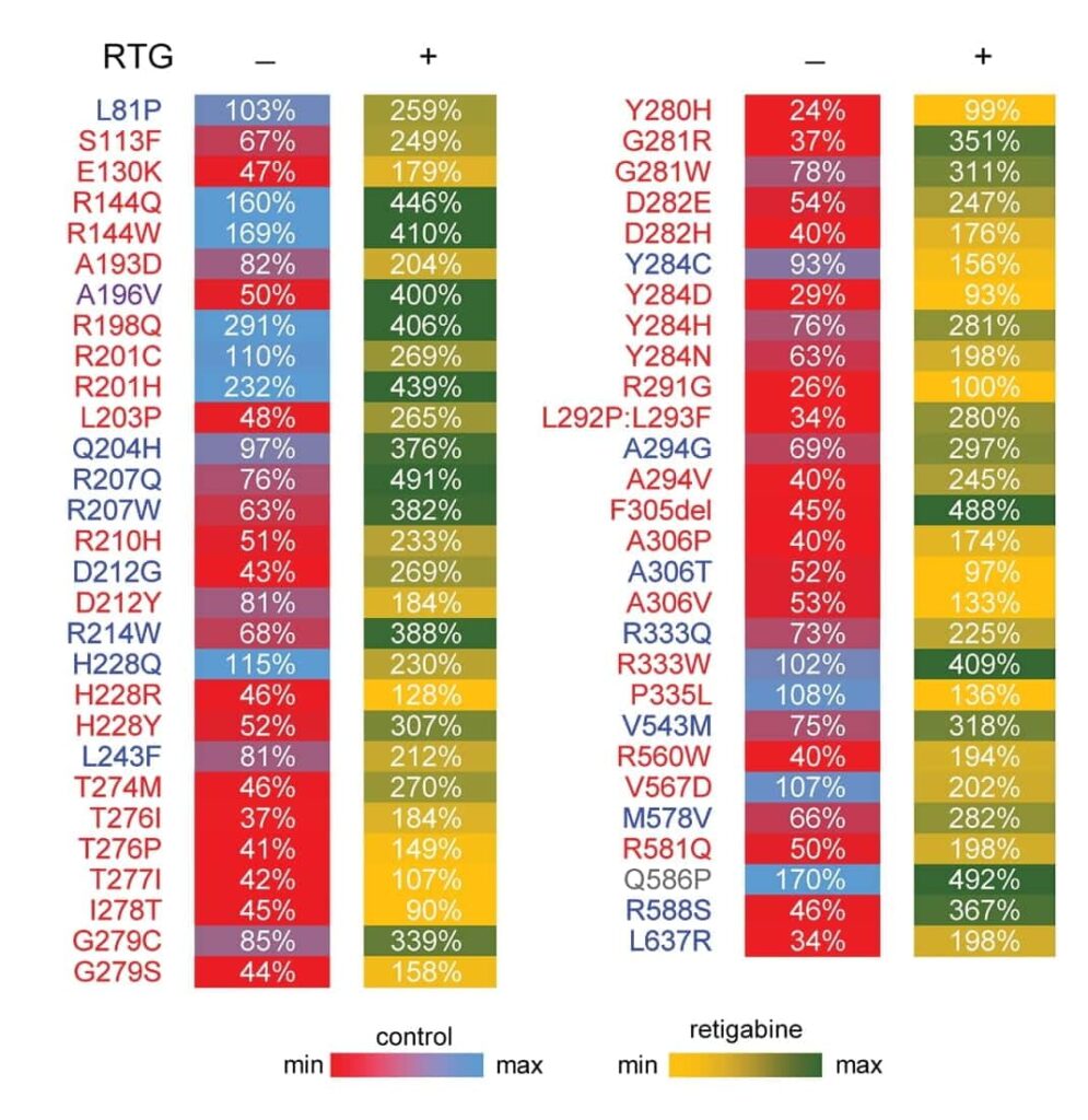 Automated Patch Clamp for Ion Channel Variant Screening
