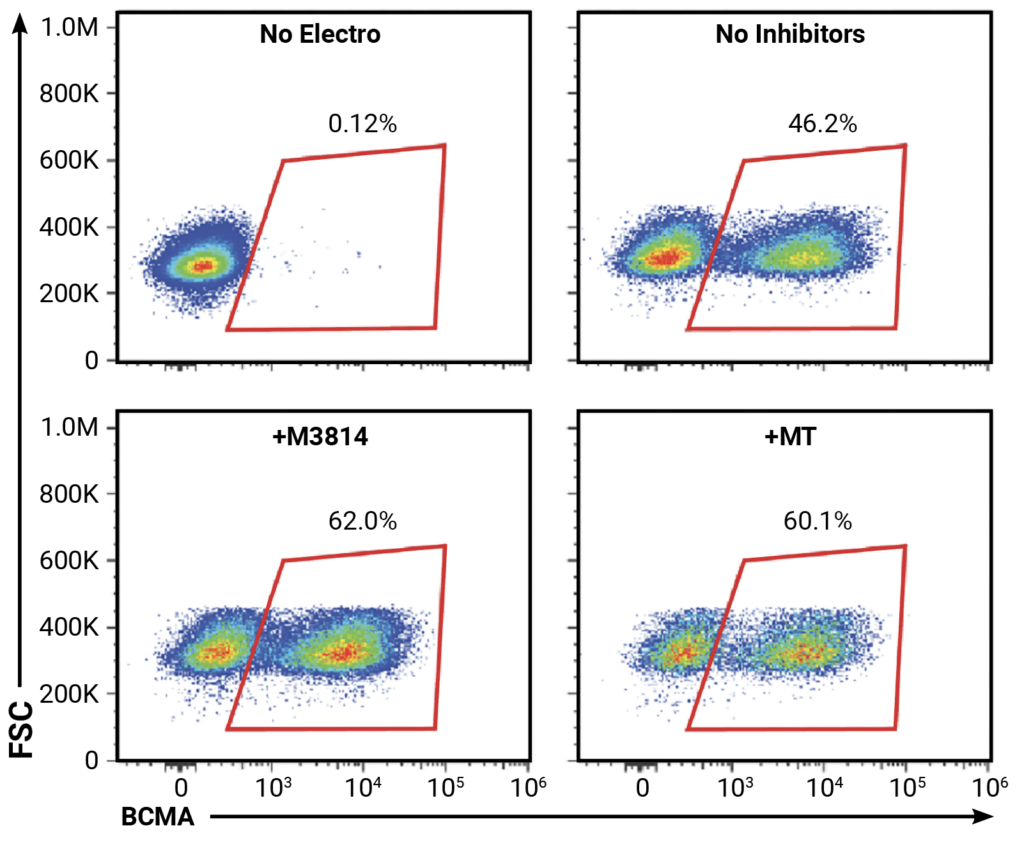 Ignite Your Cell Therapy Development | MaxCyte
