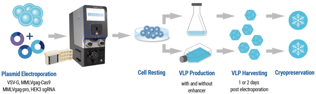 Large-Scale Virus-Like Particle Manufacturing for Gene Editing | MaxCyte
