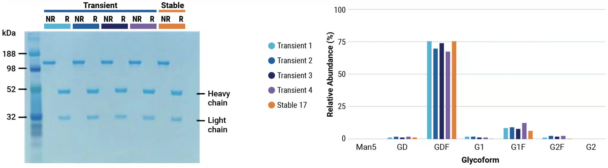 Accelerate Antibody Development and Production | MaxCyte