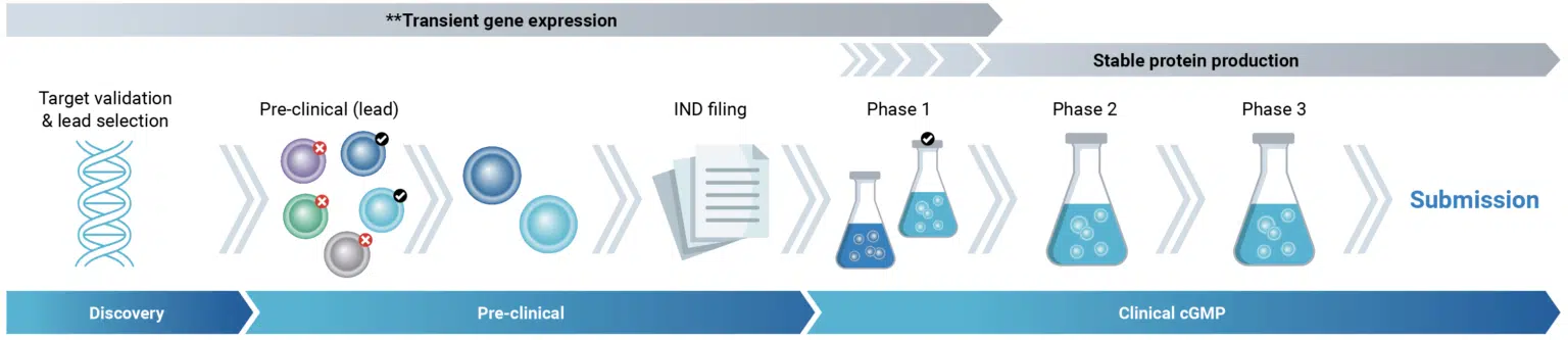 Accelerate Antibody Development and Production | MaxCyte