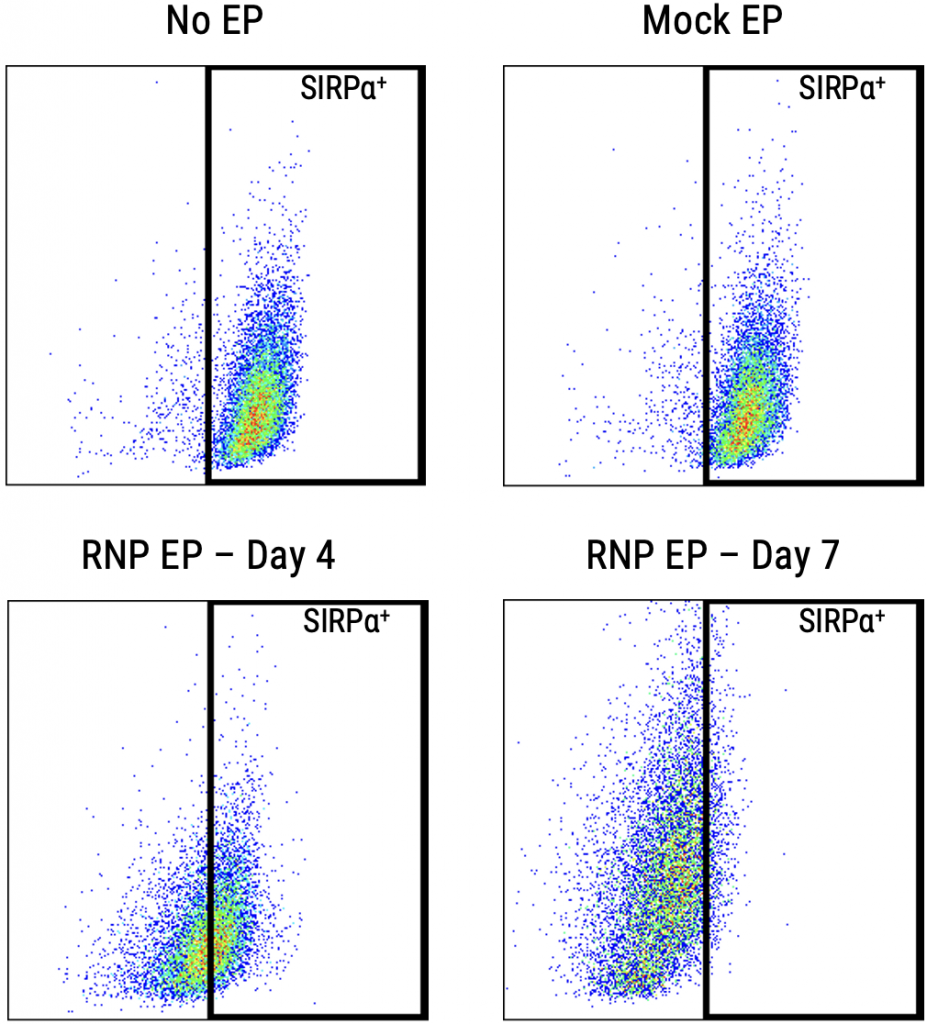 High Efficiency Complex Gene Editing of Hard-to-Transfect Primary Cells ...