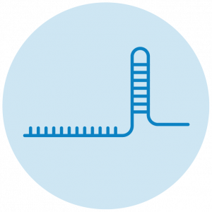 SeQure | Assays for Gene Editing Risk Assessment