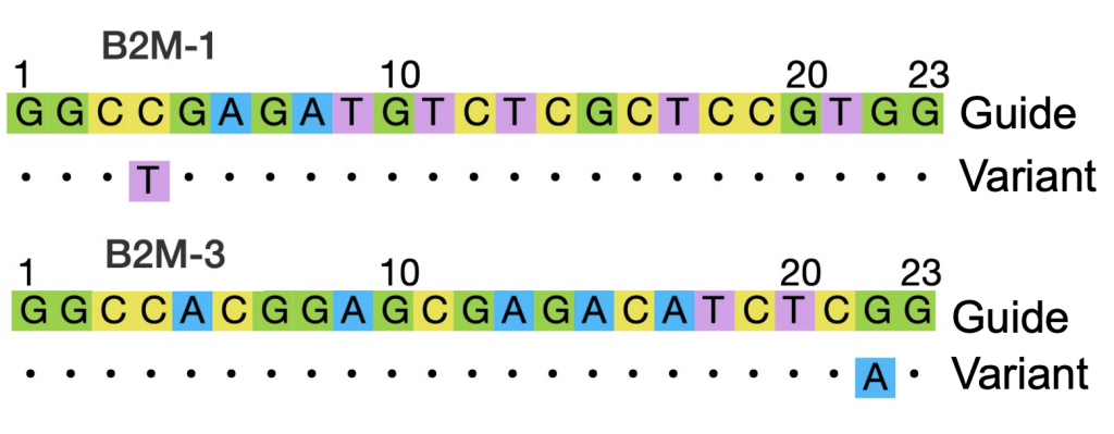 Better Guide RNA Selection in CRISPR Therapies | MaxCyte