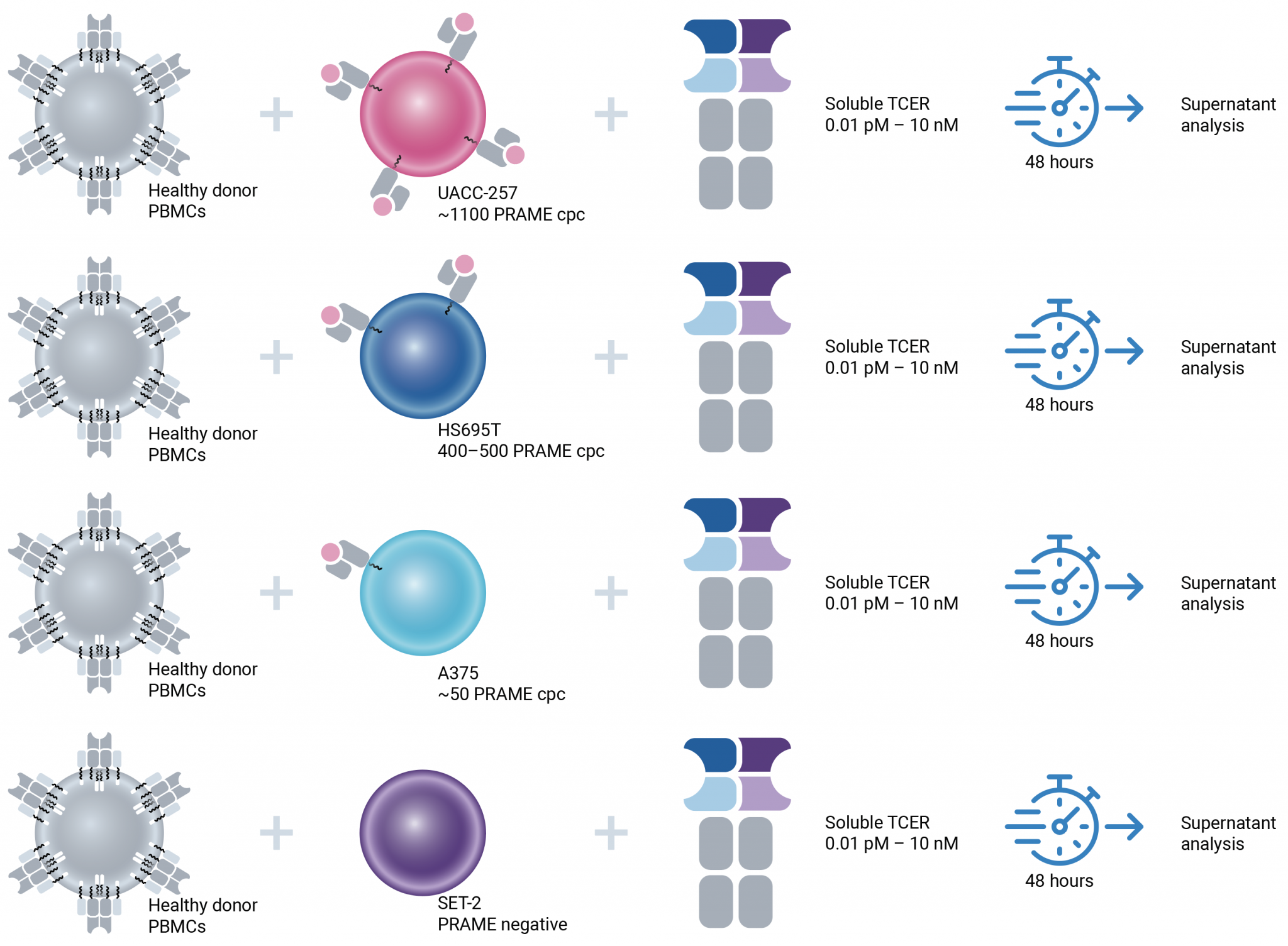 Develop Affinity-Enhanced TCR Biologics with Mammalian Display | MaxCyte