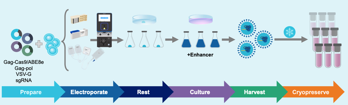 Large-Scale Virus-Like Particle Manufacturing for Gene Editing | MaxCyte